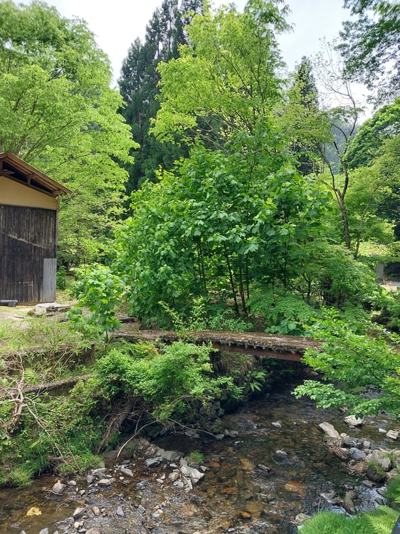 【Travel Journal】More Than a Trip: Discover Chizu, Tottori – Where ...